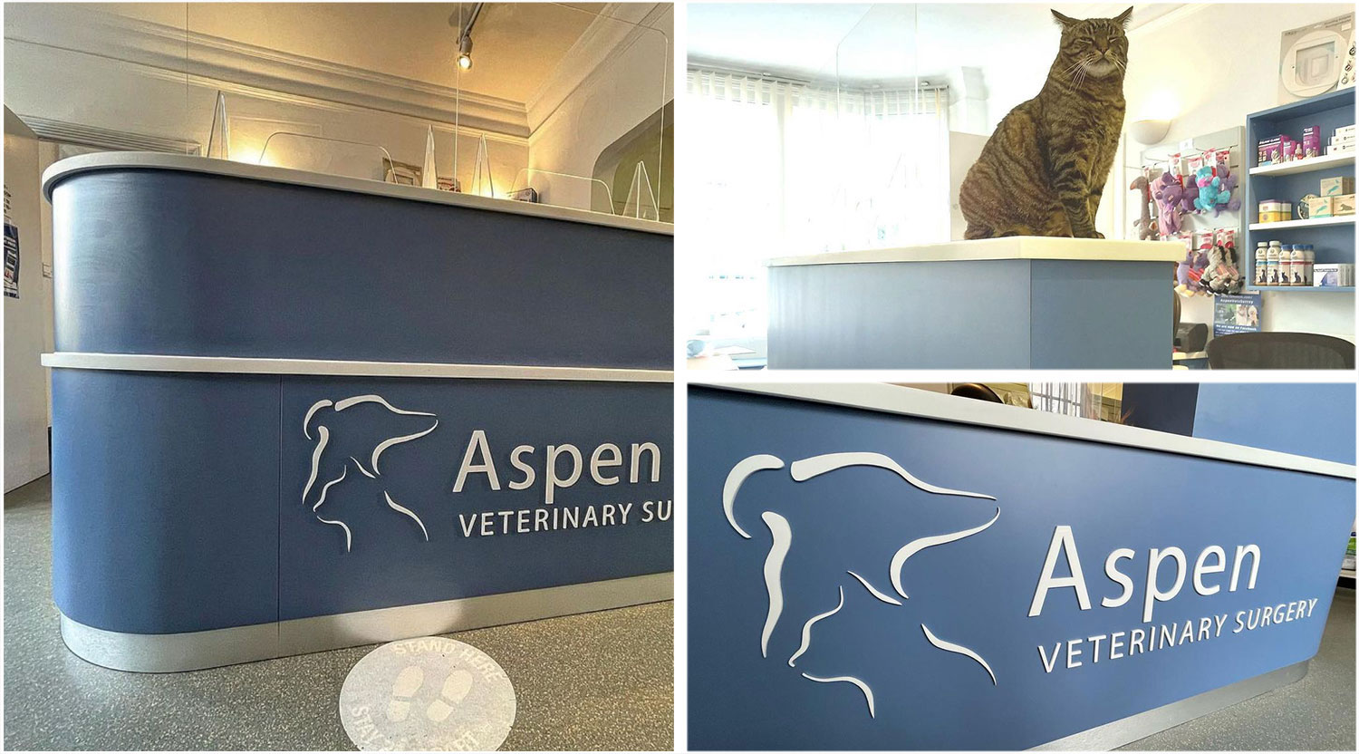 Curved Vets Reception Desk Project - Nokk